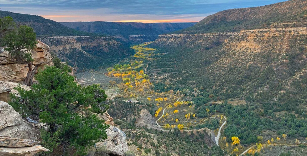 Ute Mountain Tribal Park - Mesa Verde Country
